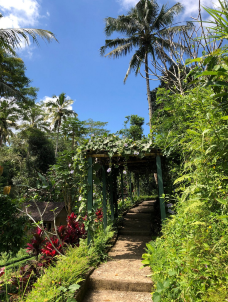 【携程攻略】上海Segara Windhu Coffee Plantation图片,上海Segara Windhu Coffee ...