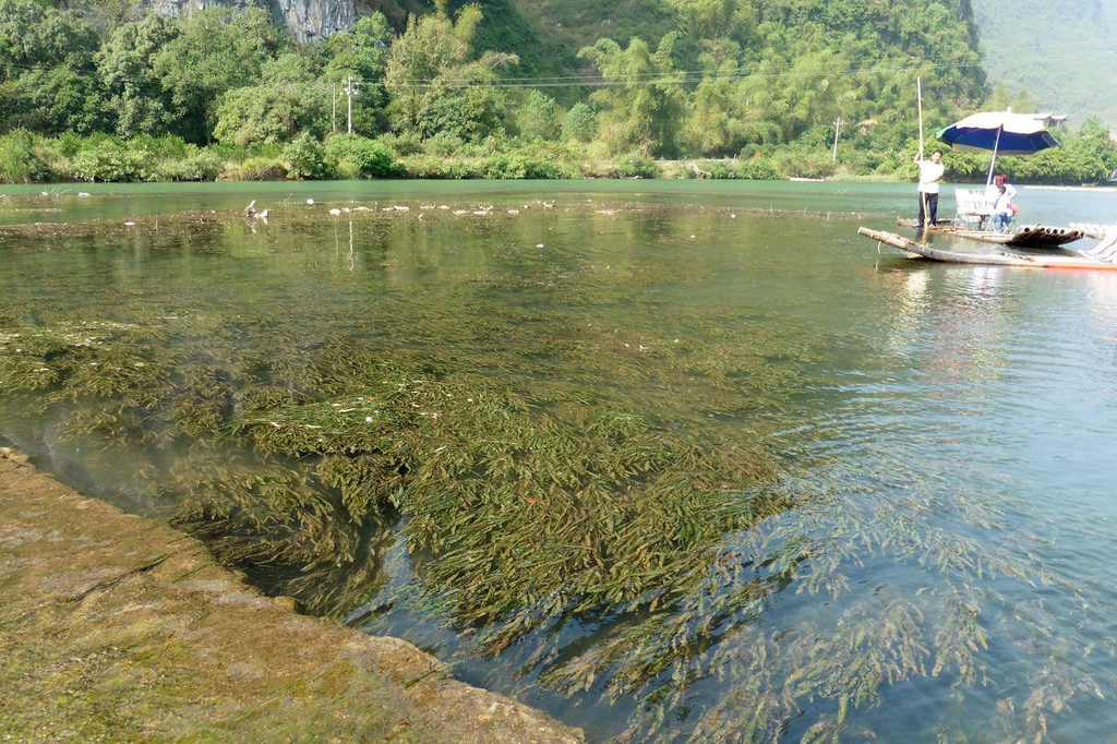 清澈的河水壁纸,清澈的海水壁纸,清澈的河水清澈见底_大山谷图库